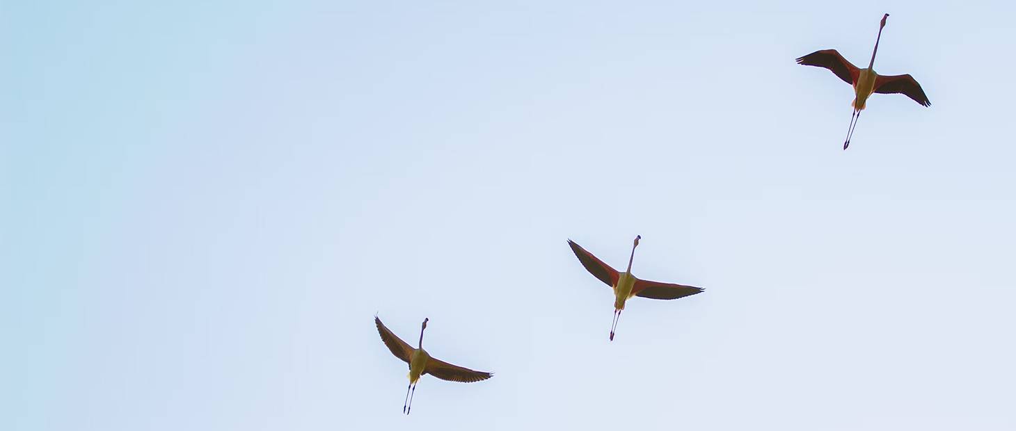 About Us - Everstone Capital