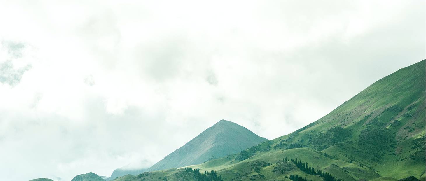 ESG - Everstone Capital